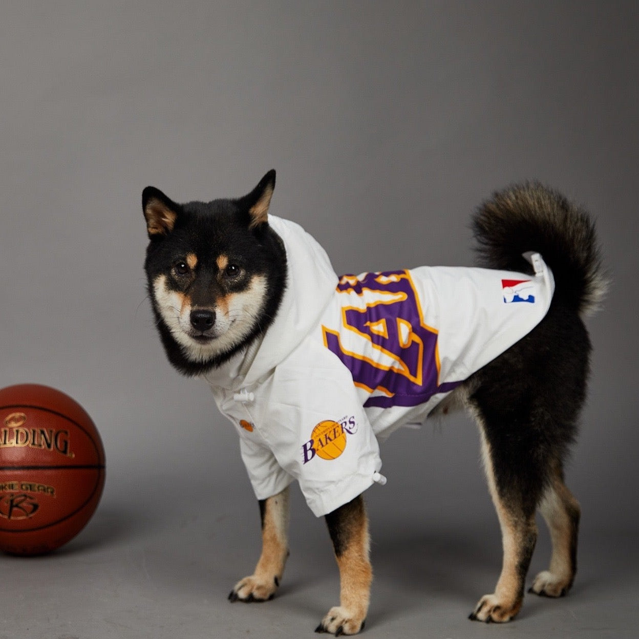 Laker Dog Rain Jacket